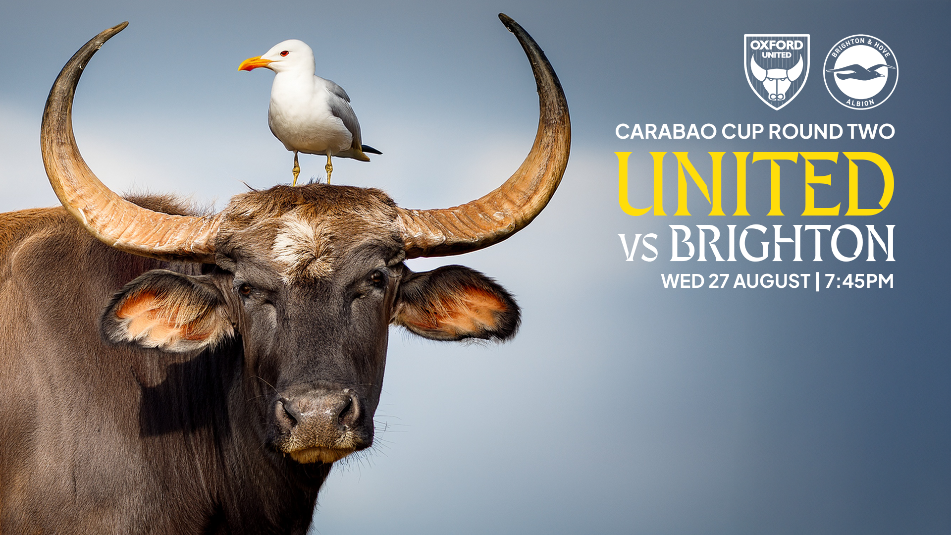 Brighton & Hove Albion Ticketing Details | Oxford United Football Club